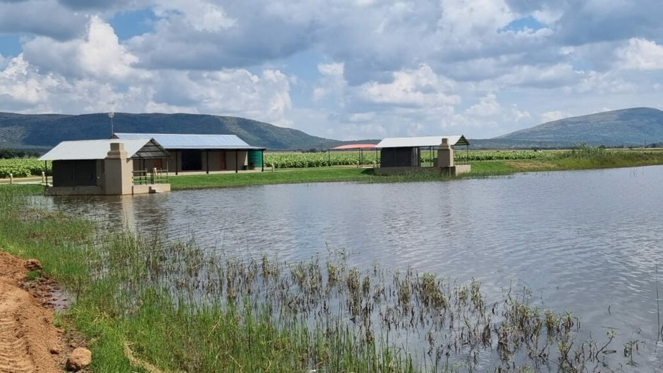 Where to go Fishing – Total Fishing